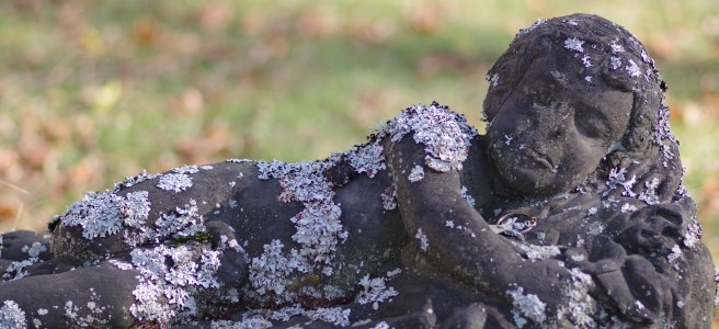 Death Piles – This Wholehearted Life