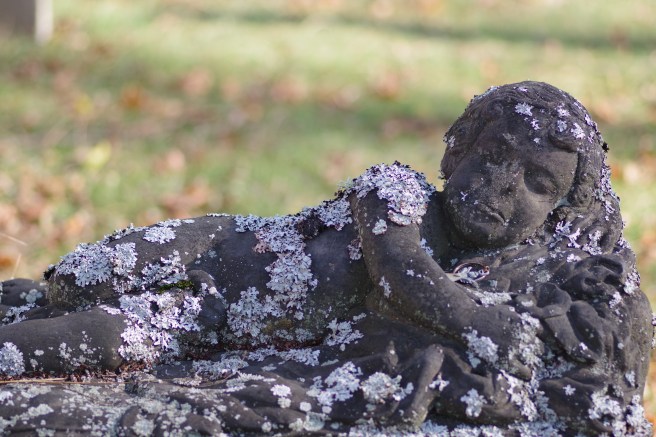 Death Piles – This Wholehearted Life